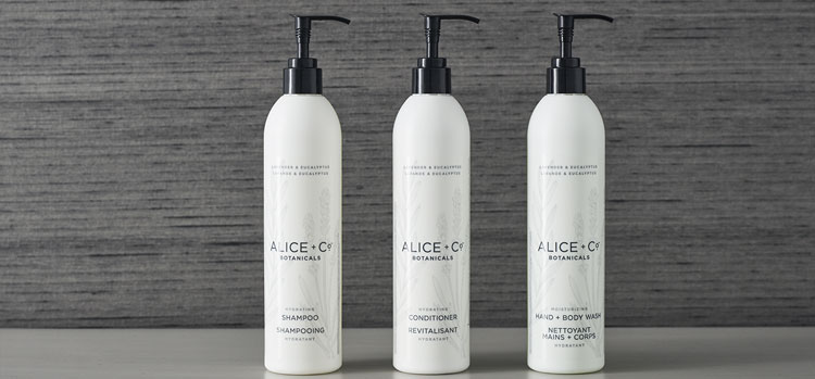 SpringHill Suites Hotel Amenities | SpringHill Suites